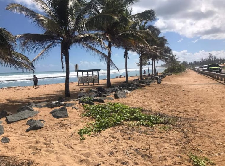 Limpieza Internacional de Costas 2021 – A Cuentagotas